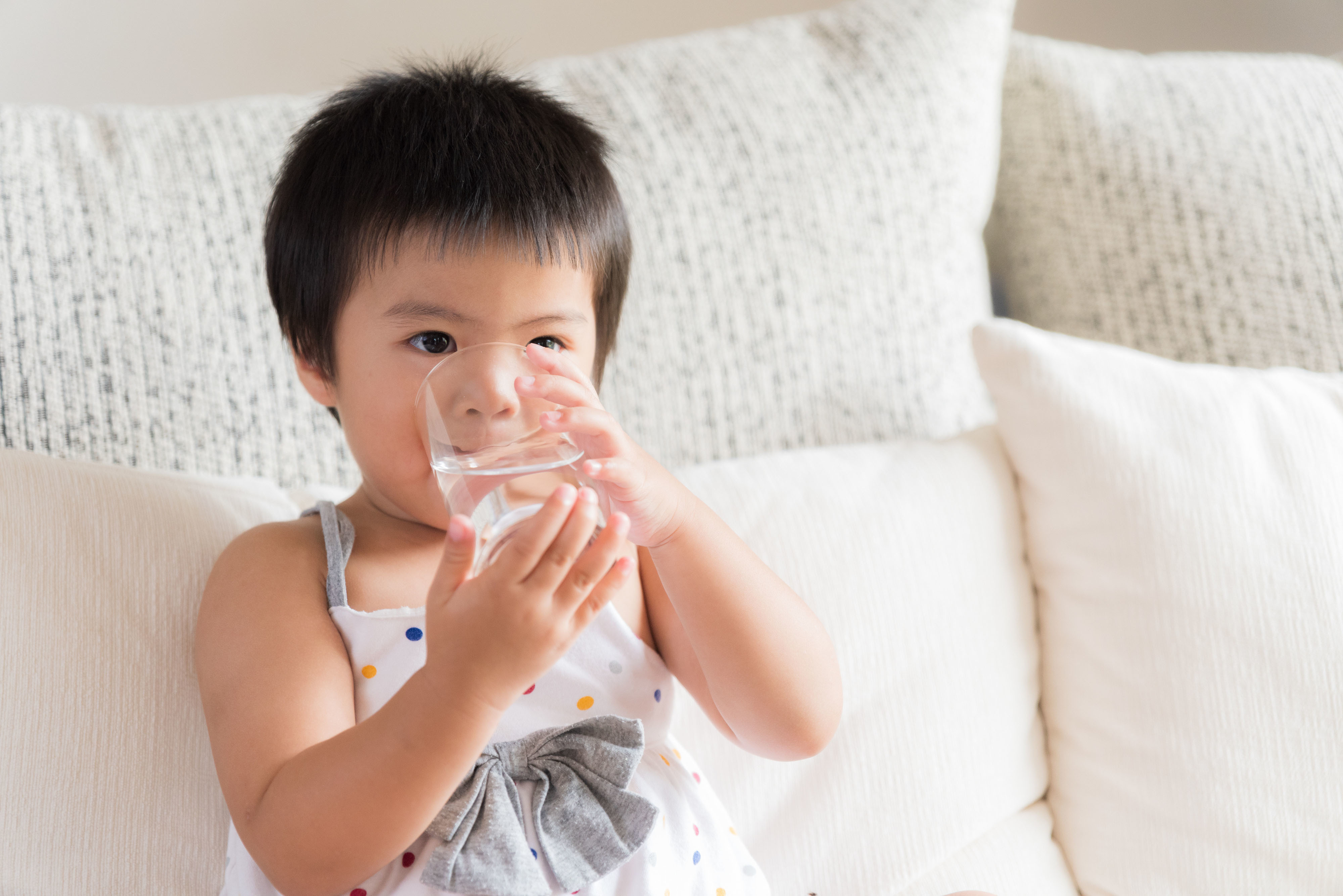 European Drinking Water Directive (DWD) and Harmonised Standards | NSF