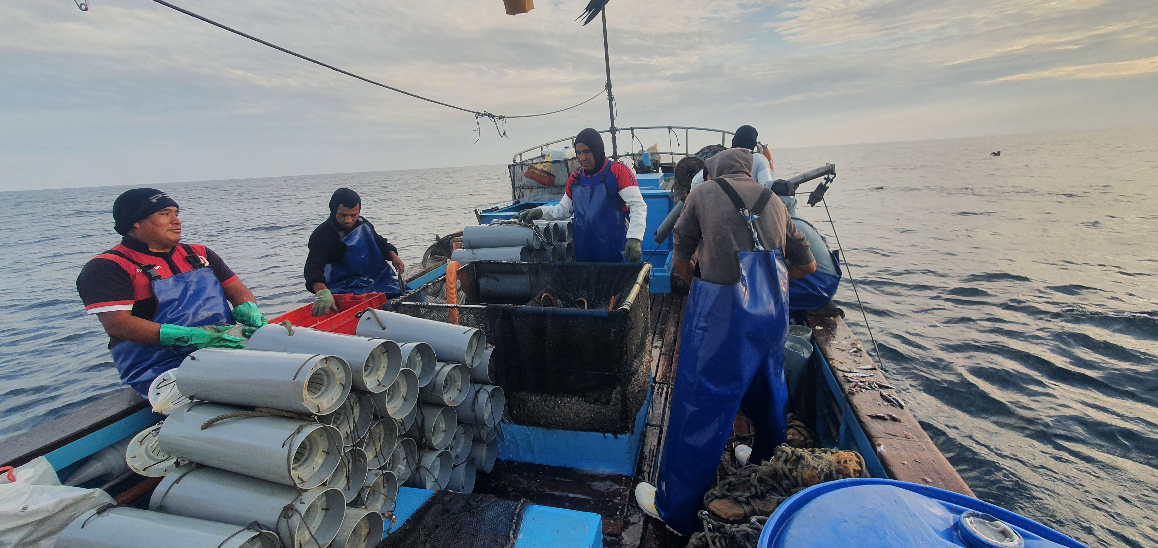 NSF Issues First-Ever MSC Certification for an Eel Fishery to… | NSF