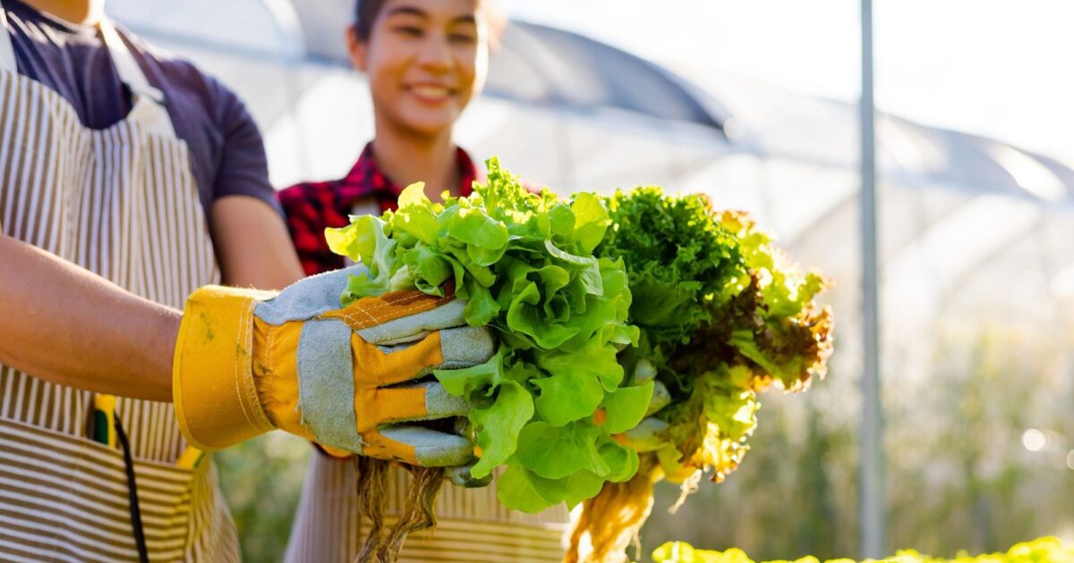 Sustainable Foods Summit 2025 | NSF