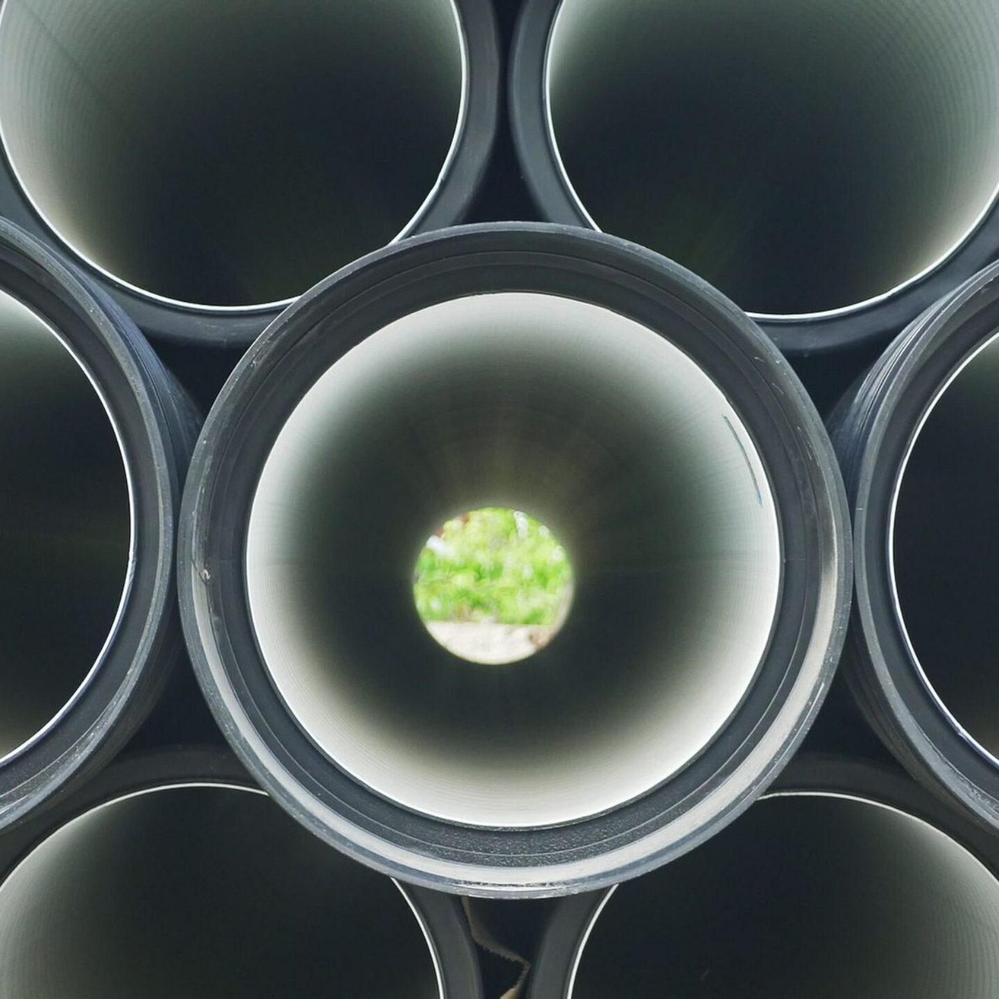 NSF | The Public Health and Safety Organization