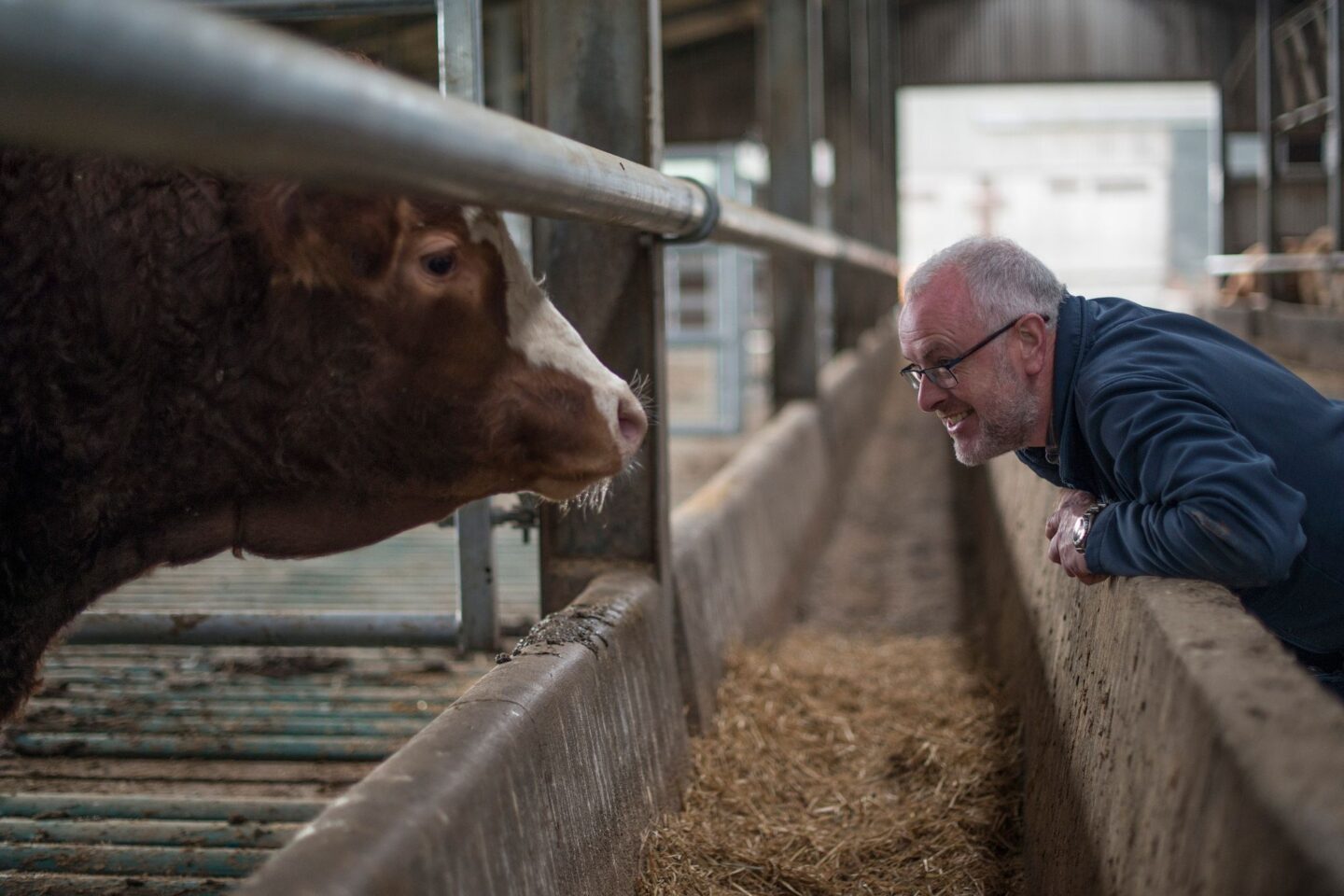 NSF Global Animal Wellness Standards | NSF