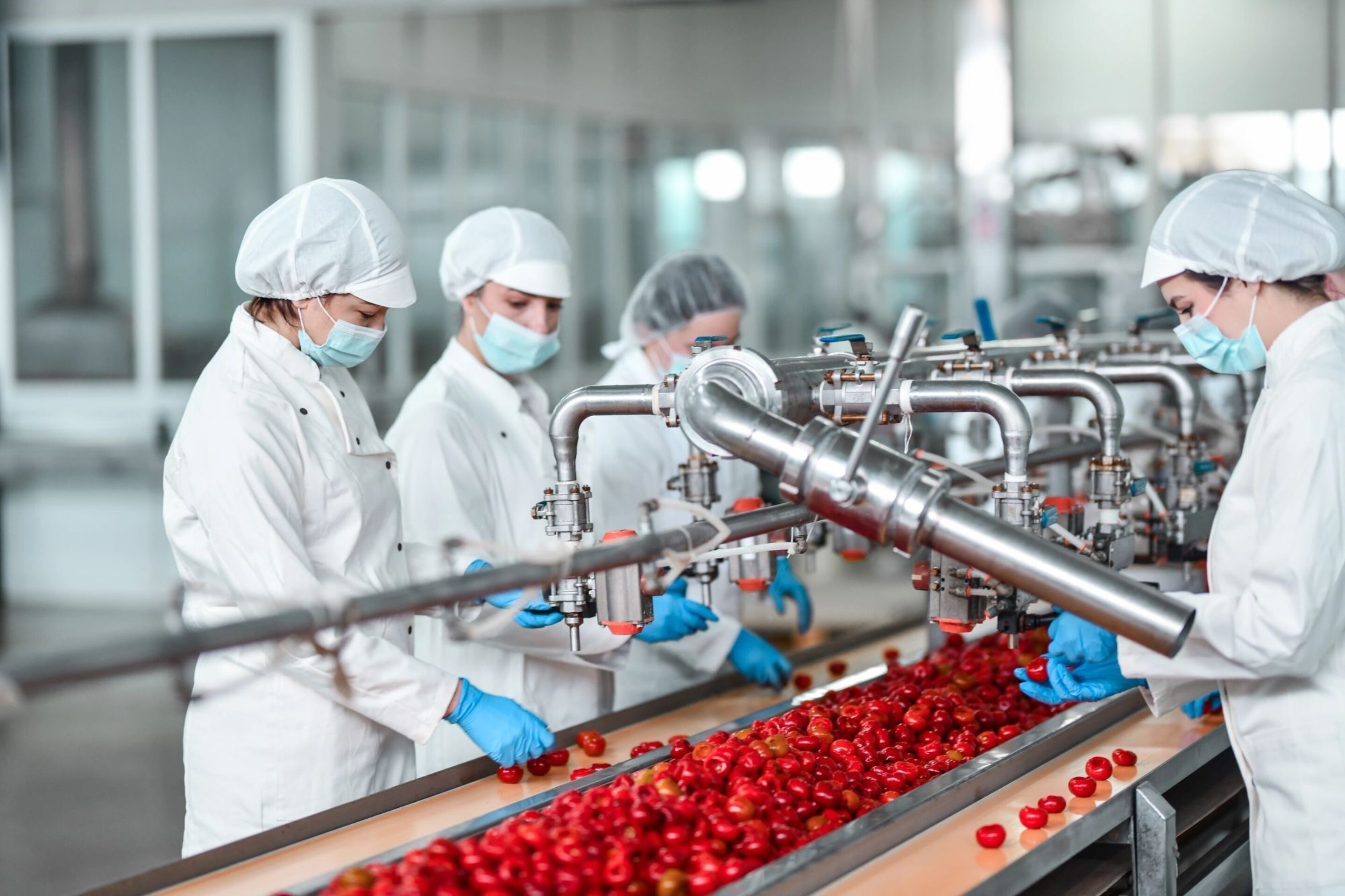 Food Contact Materials Testing | NSF