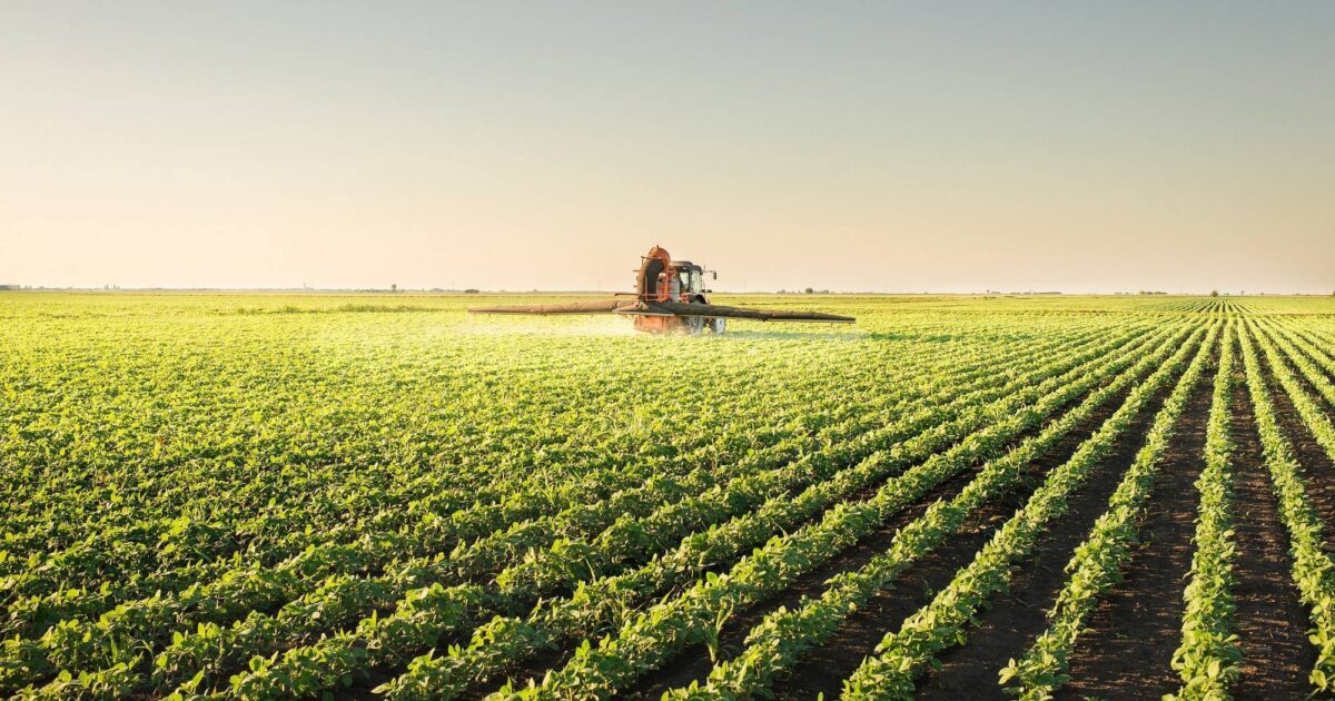 A Closer Look at Risk Analysis and Assessment at SQF Unites | NSF