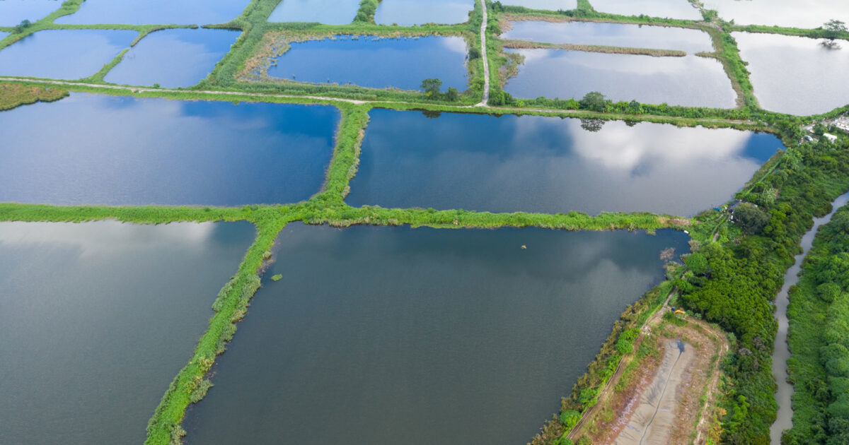 Best Aquaculture Practices (BAP) Certification | NSF