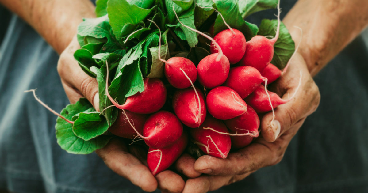 PrimusGFS Certification | NSF