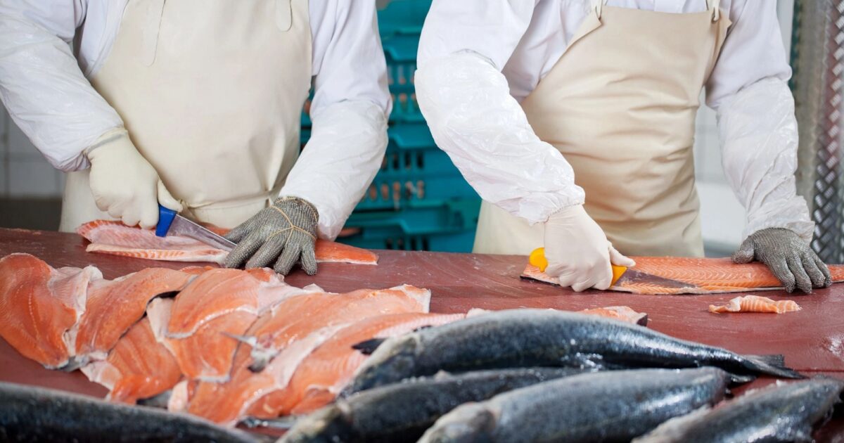 Seafood Producers and Suppliers | NSF