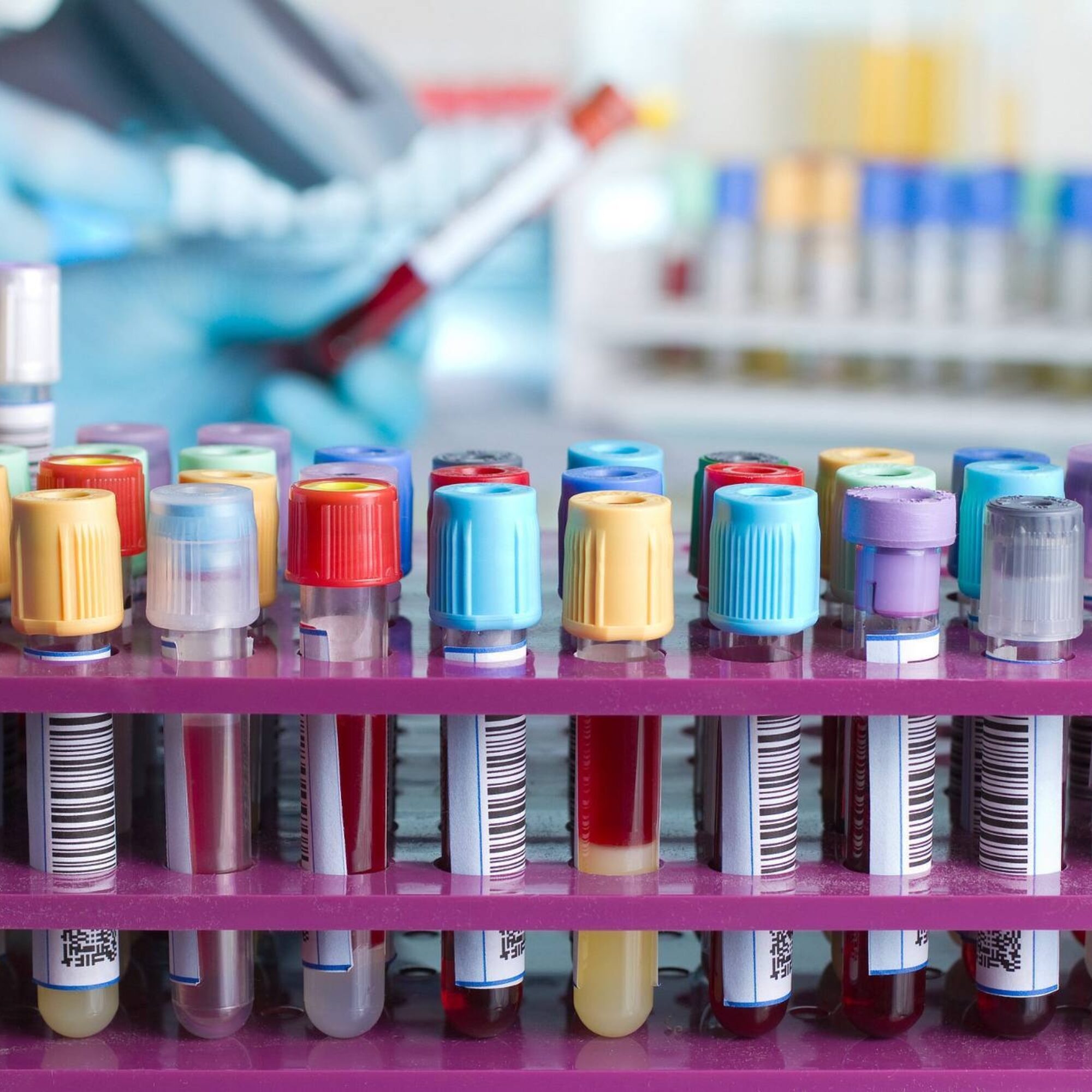 Lab and Testing Services | NSF