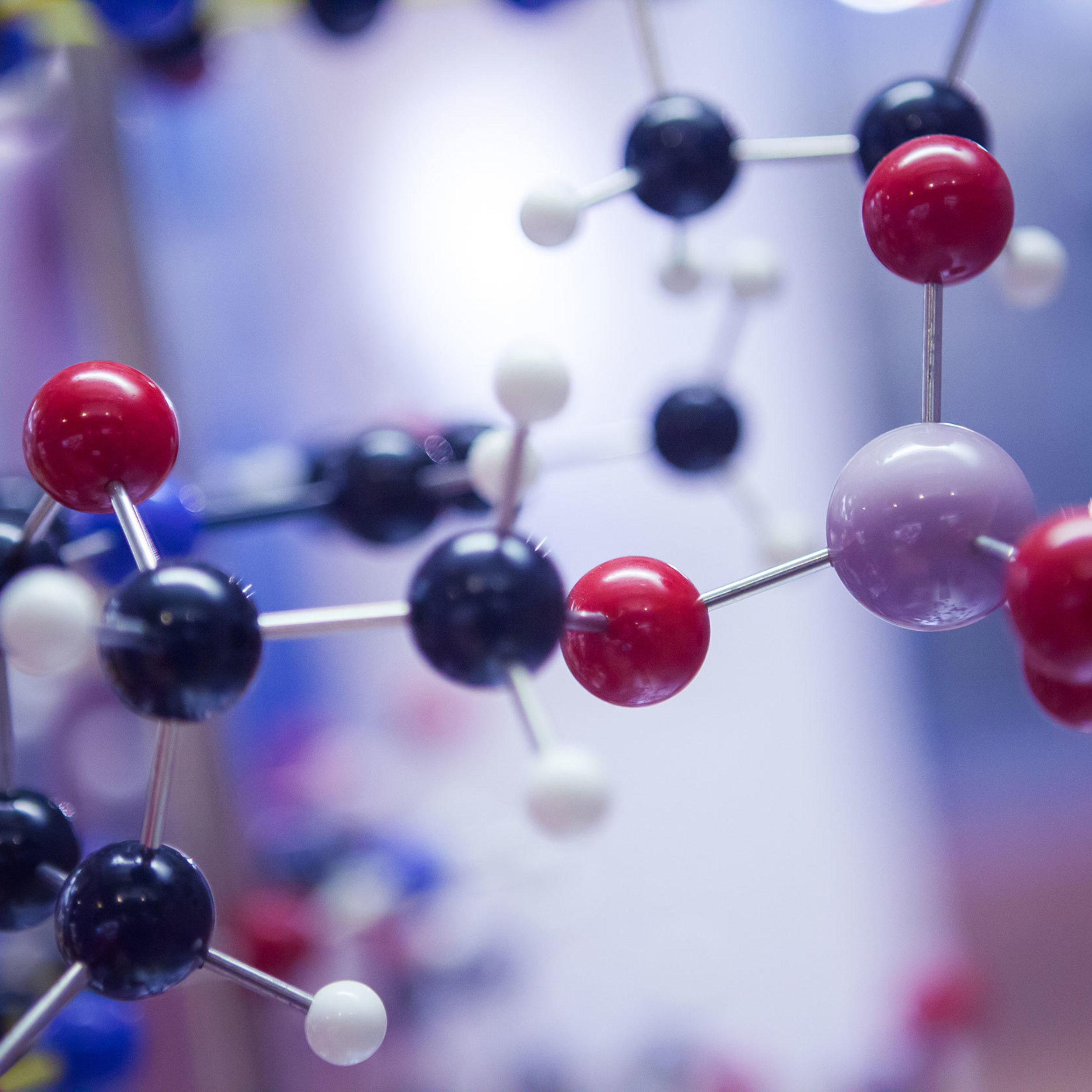 Active Substances and Excipients Training | NSF