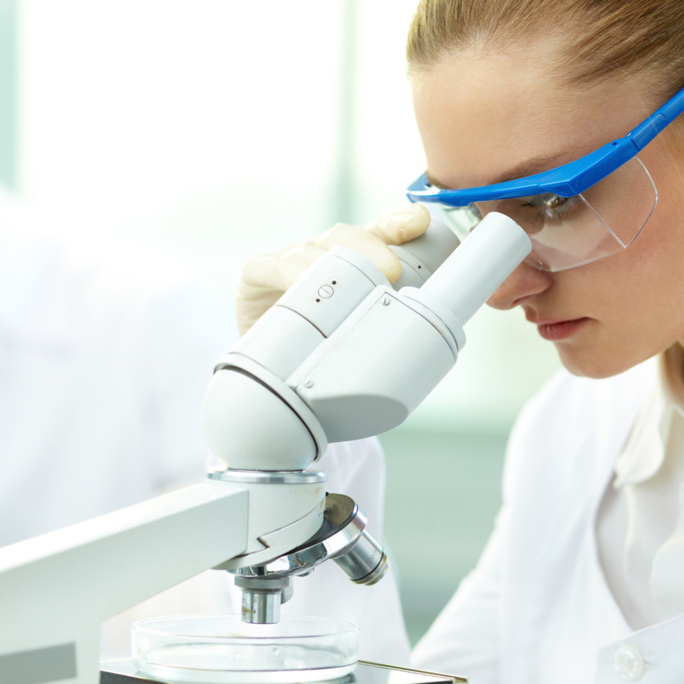 Understanding the Principles of REACH | NSF