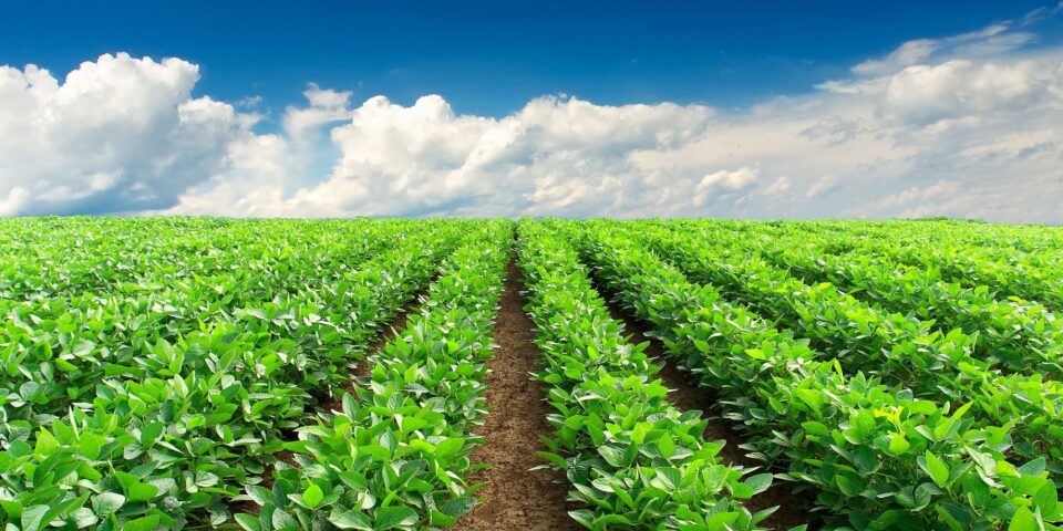 TraQtion Works with California LGMA to Modernize Audit and Data… | NSF