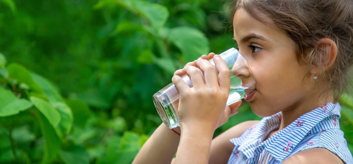 NSF Appoints Steve Haan as Vice President of its Water… | NSF